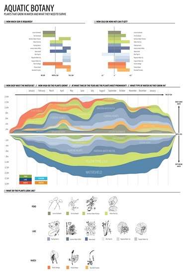 Infographics